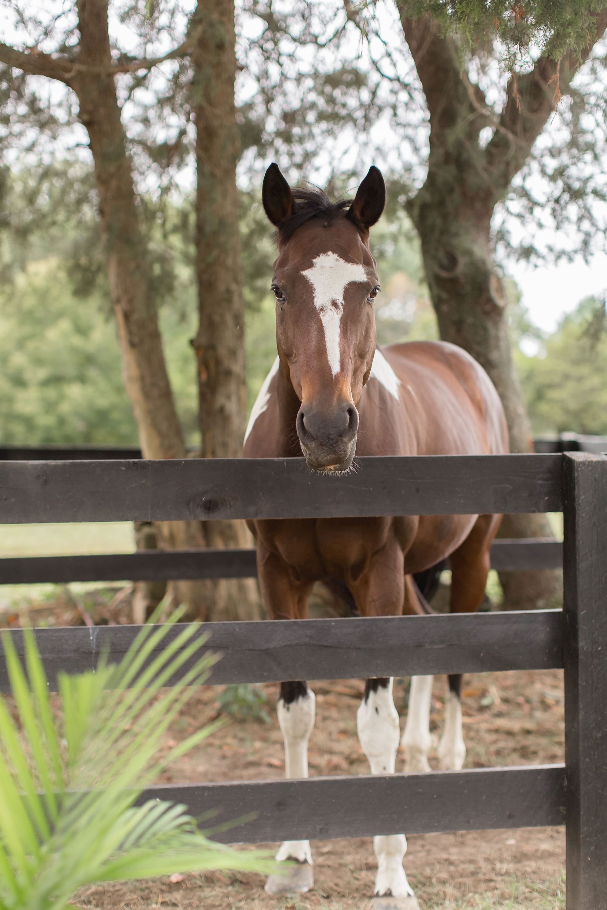 It May Be Time to Consider a Rural Lifestyle – Old town crier