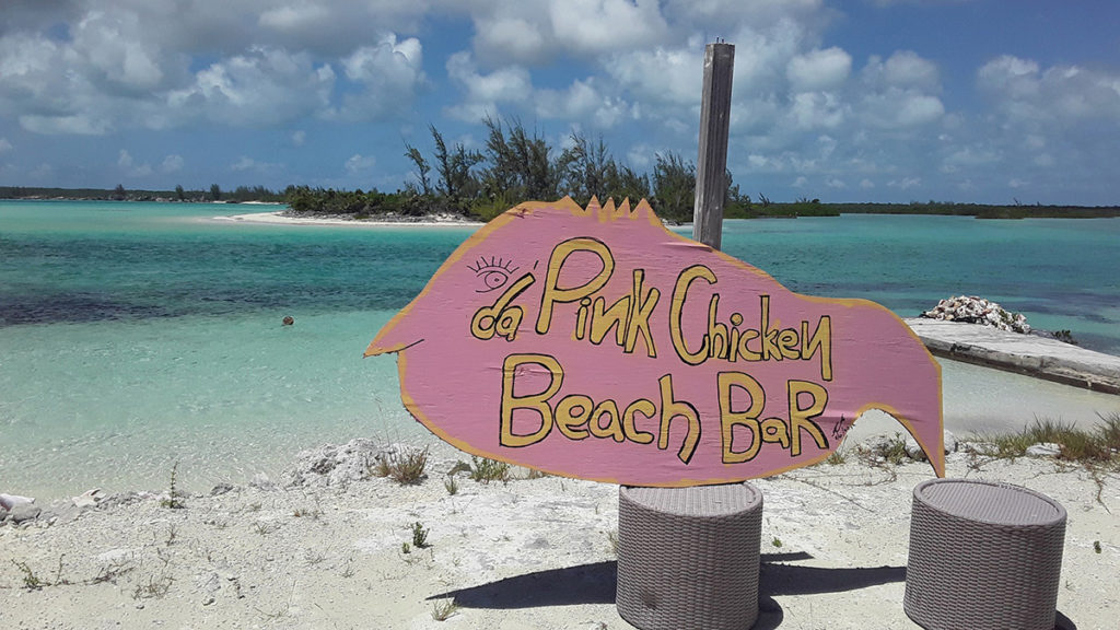 Caribbean Connecton-Da Pink Chicken – Old town crier