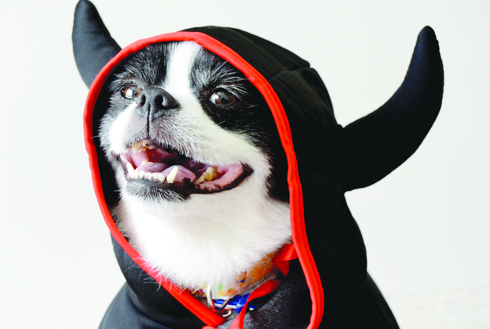 STOCK_smile-halloween – Old town crier