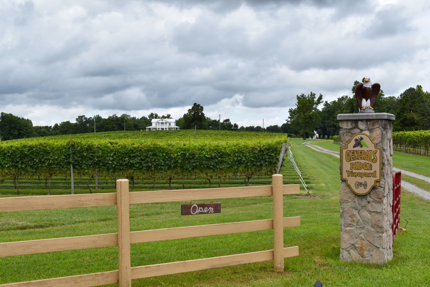 Grapevine – Generals Ridge – Old town crier