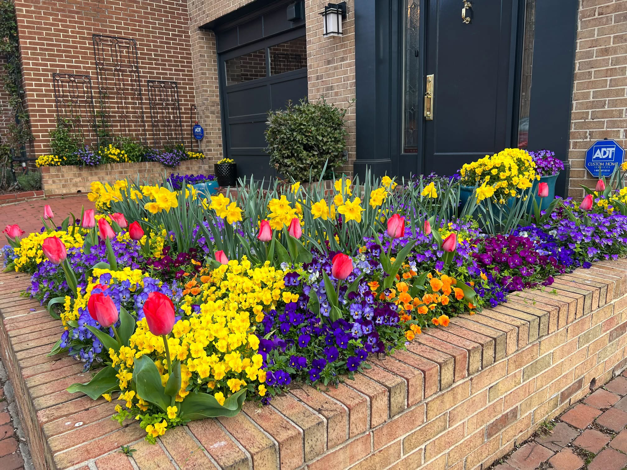 Cover full photo – Old town crier