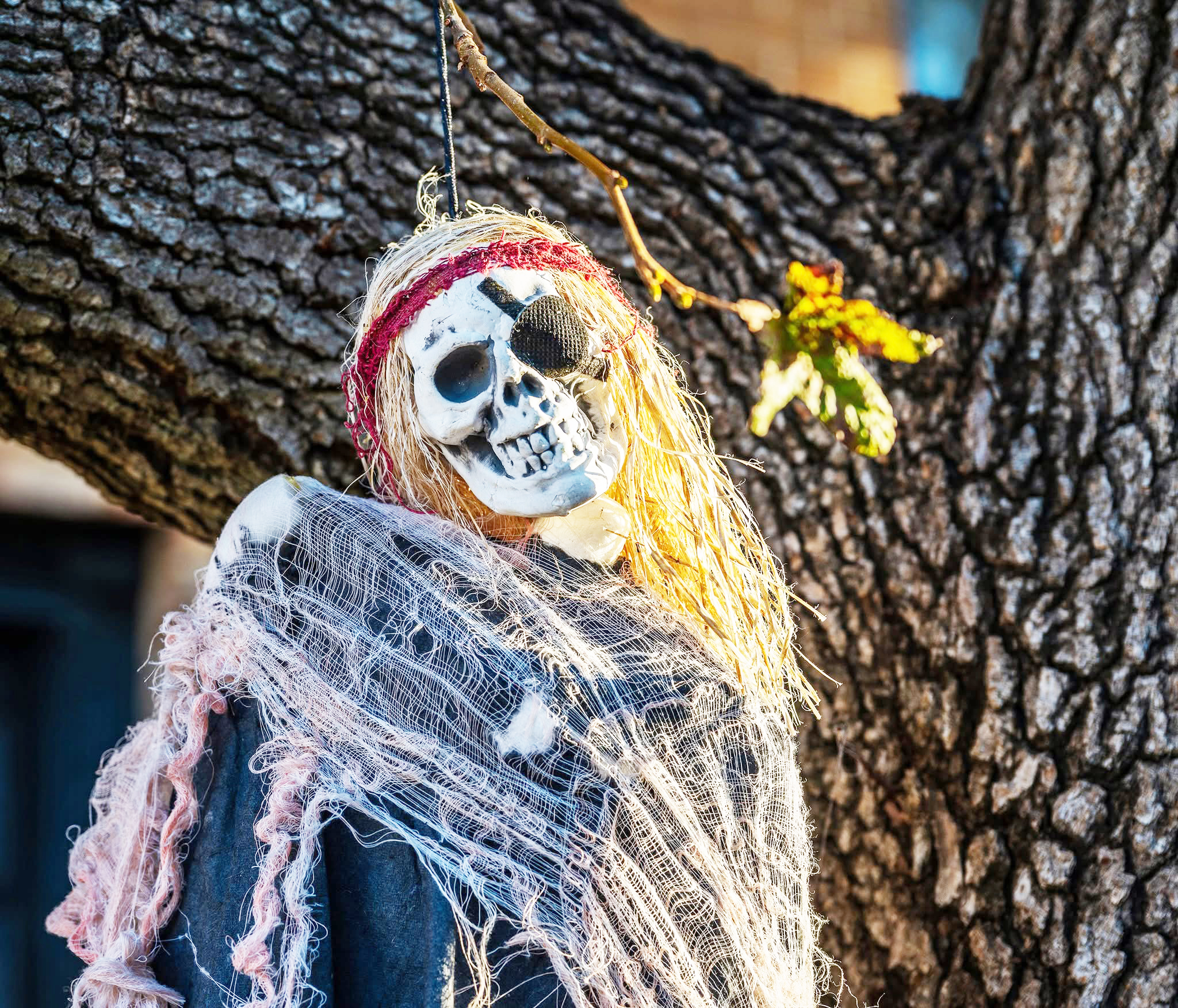 Alex Events Lee Moody – Old town crier