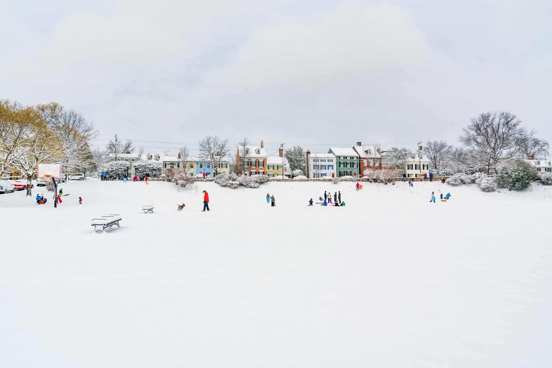 Events Around Town – February 2026 – Old town crier